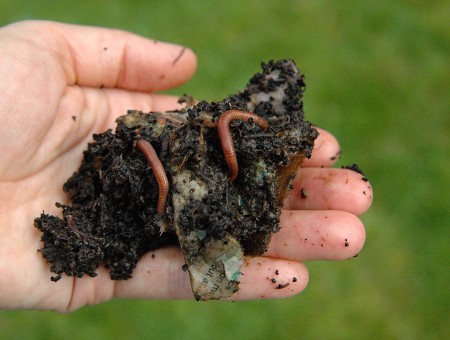 Worm Bin in a Bucket - Playdough To Plato