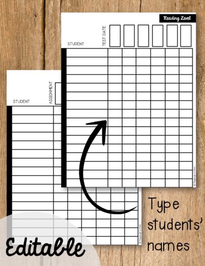 EDITABLE Guided Reading Binder - Playdough To Plato