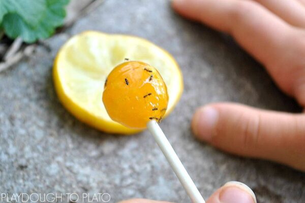 Sweet and Sour Science Experiment - Playdough To Plato