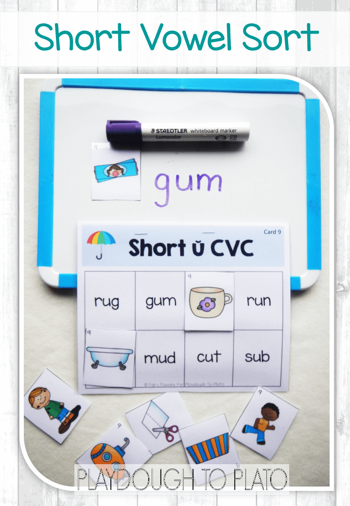 Free CVC Words Picture Sort - Playdough To Plato