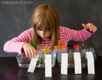 Leaf Chromatography Activity - Playdough To Plato