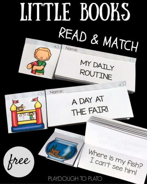 Little Books to Read and Match - Playdough To Plato