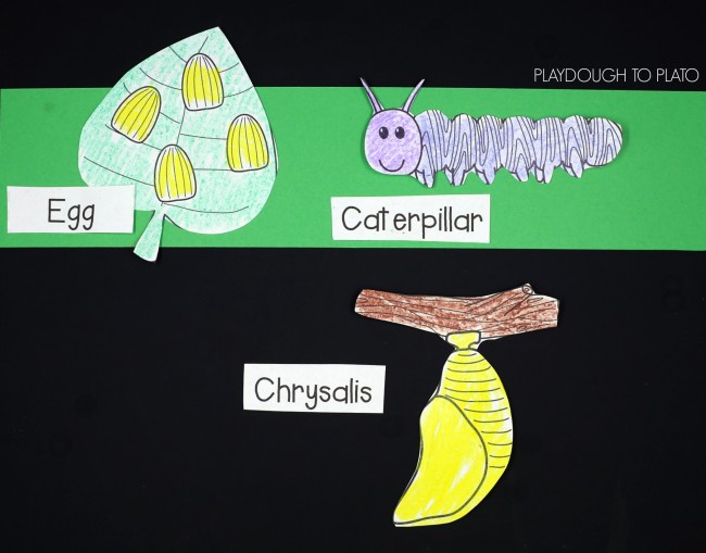 Butterfly Life Cycle Hats - Playdough To Plato