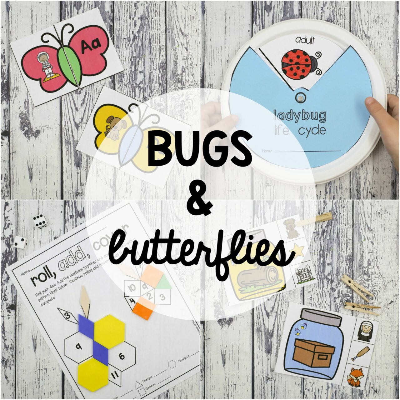 14 Must-Have Bug and Butterfly Activities - Playdough To Plato