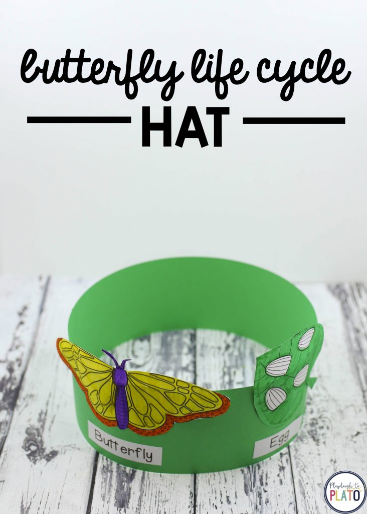 Bug and Butterfly Centers - Playdough To Plato