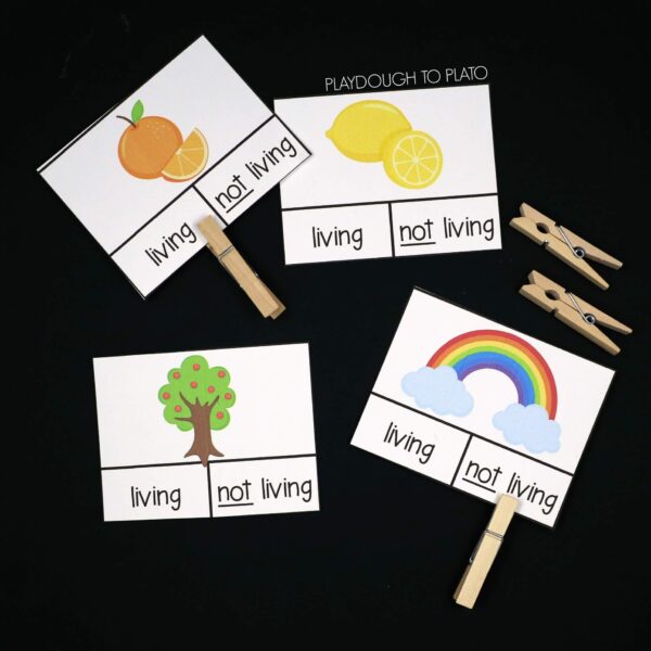 11 Plant Life Cycle Activities - Playdough To Plato