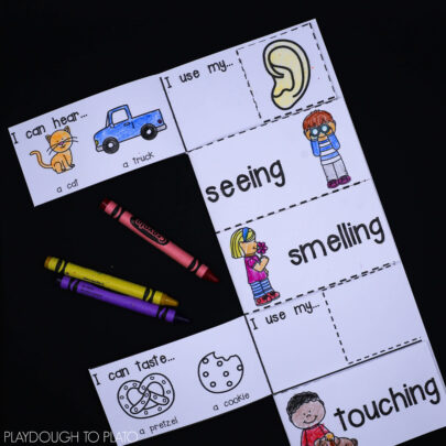 5 Senses Activity Pack - Playdough To Plato