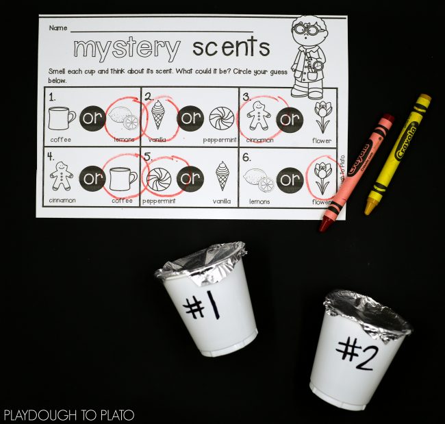 5 Senses Activity Pack - Playdough To Plato