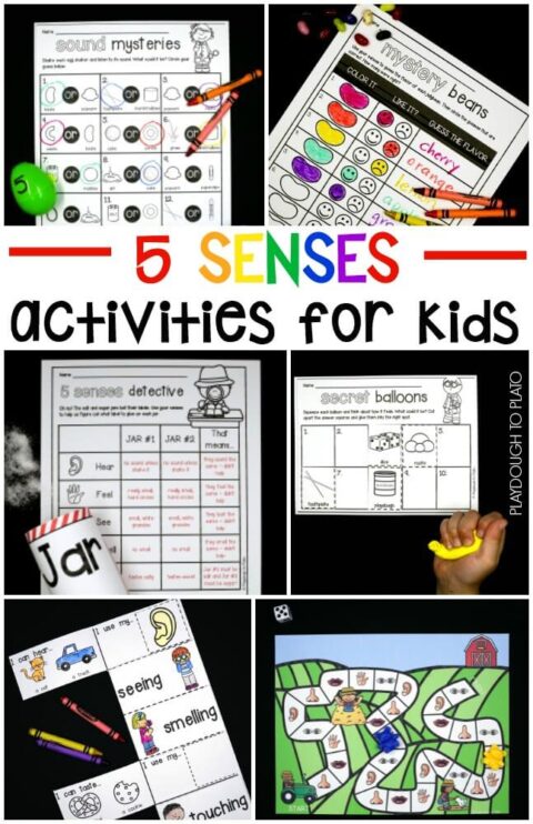 5 Senses Activity Pack - Playdough To Plato