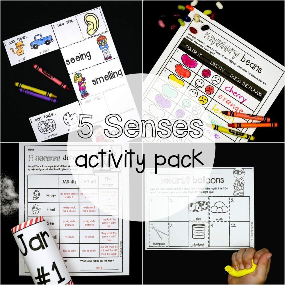 5 Senses Activity Pack - Playdough To Plato