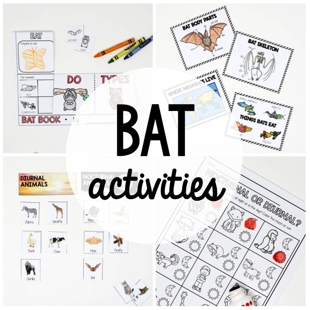 Bat Animal Study - Playdough To Plato