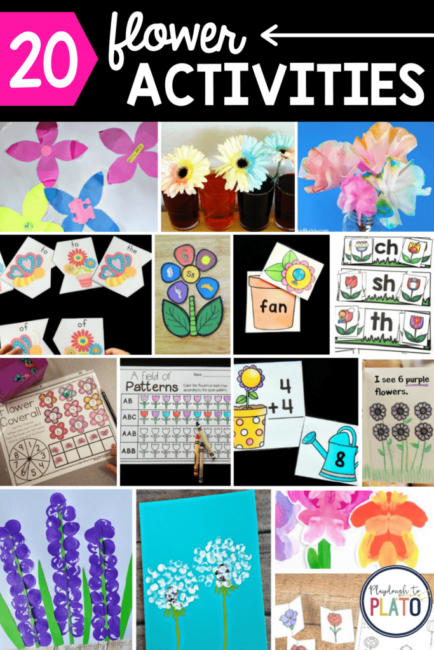 Flower Power Diphthong Activity - Playdough To Plato