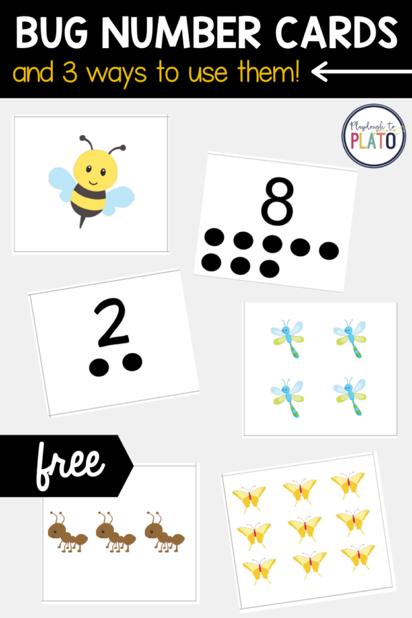 Bug Number Cards - Playdough To Plato