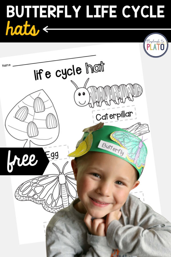 Butterfly Life Cycle Hats - Playdough To Plato